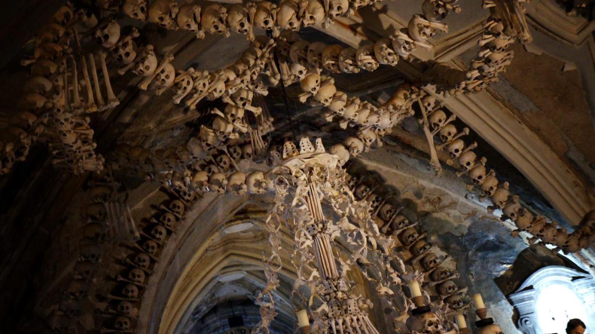 Largest plague burial ground unearthed in Europe – Michael Walsh ...